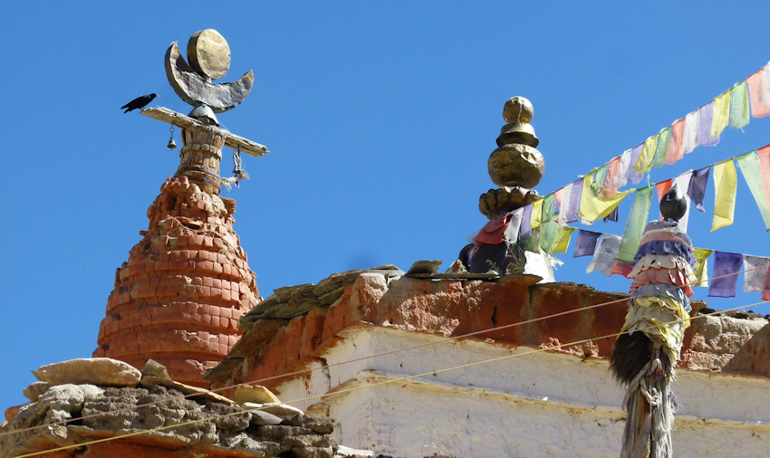Trekking in Nepal: Lo Mantang und der Tempel der Mandala - Miss Tiger